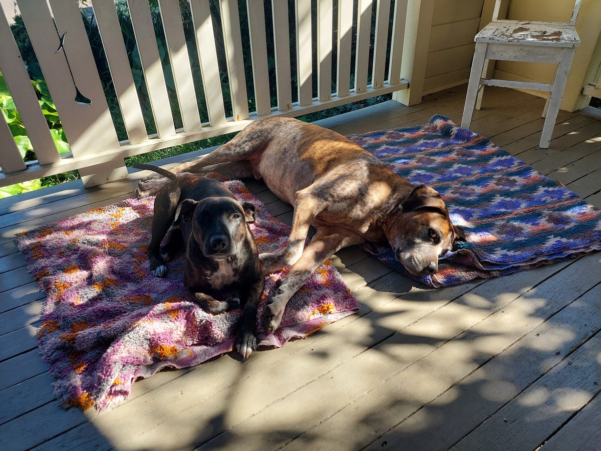 Remi and Max | MLTSHP