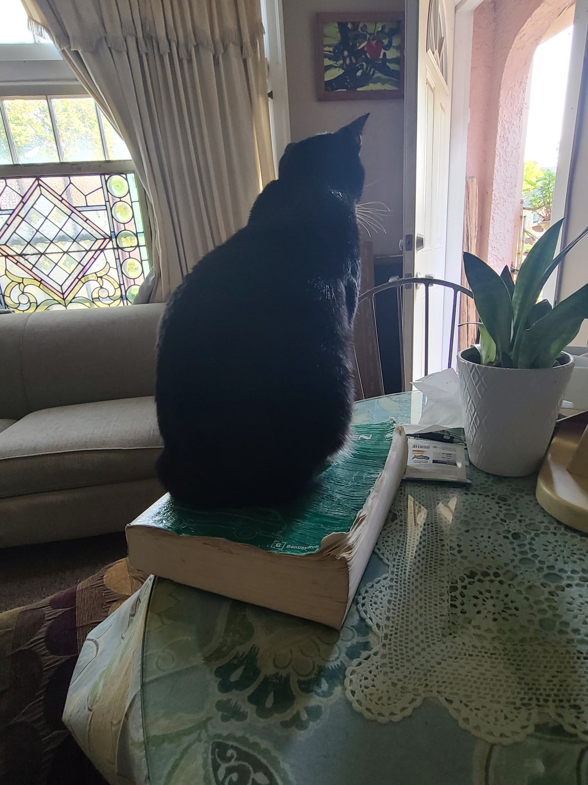 She Will Fix My Van | MLTSHP