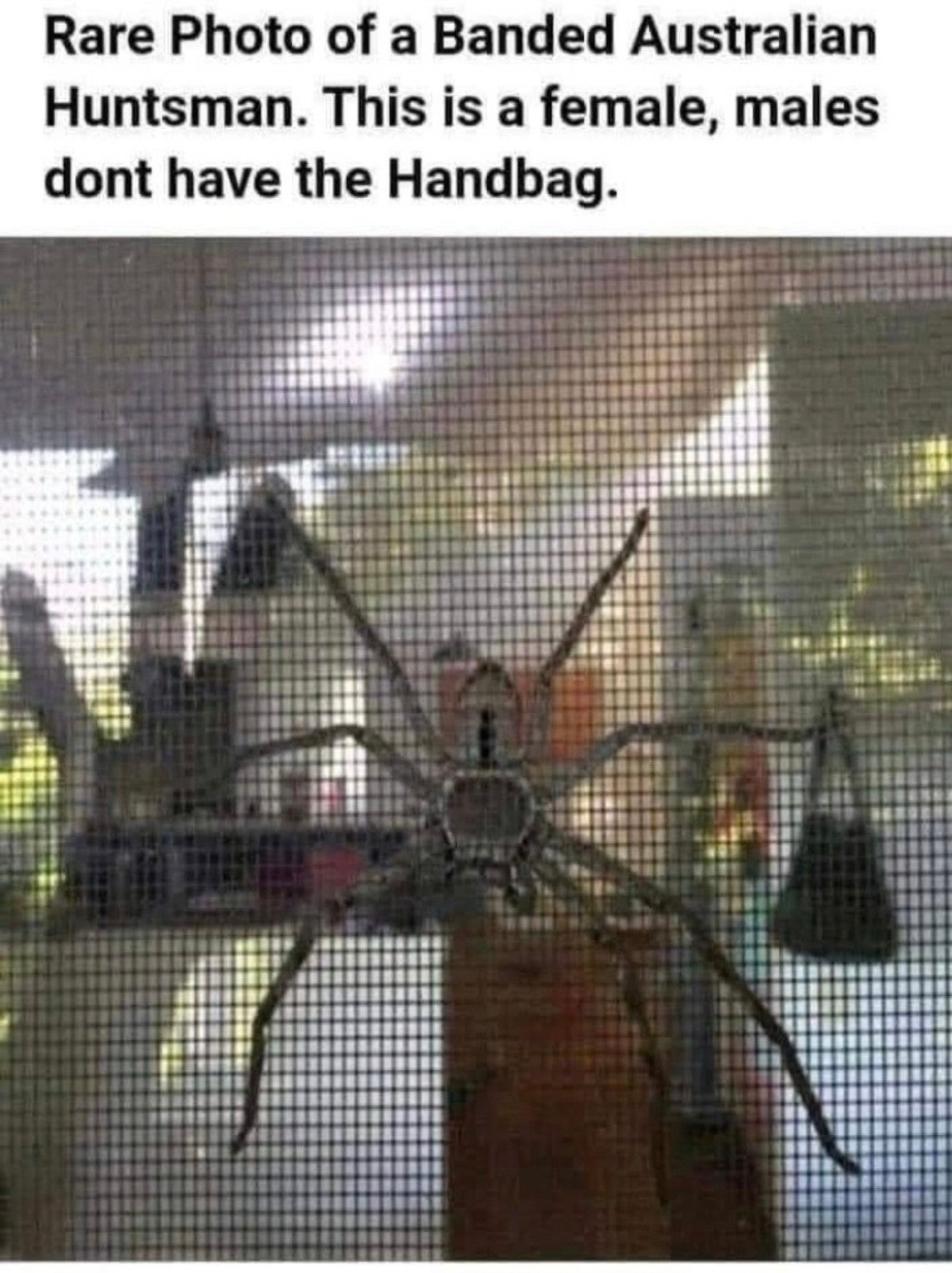 Scary but stylish | MLTSHP