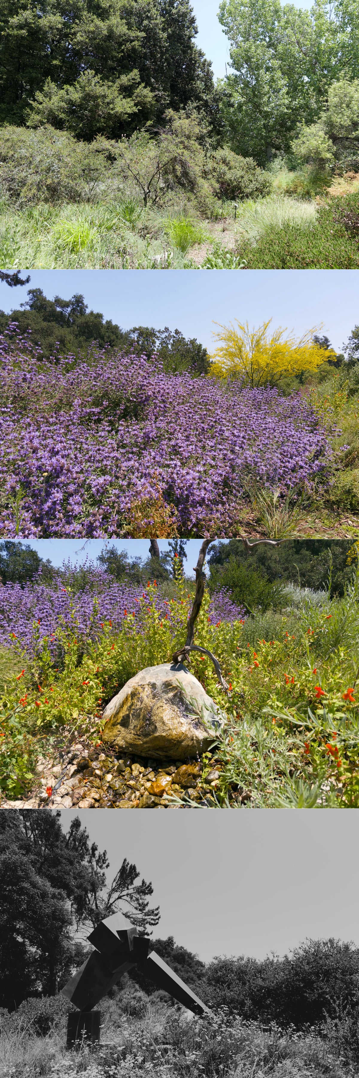 Trying out (Not Boring) Camera in the garden. New blog post soon? Maybe. | MLTSHP