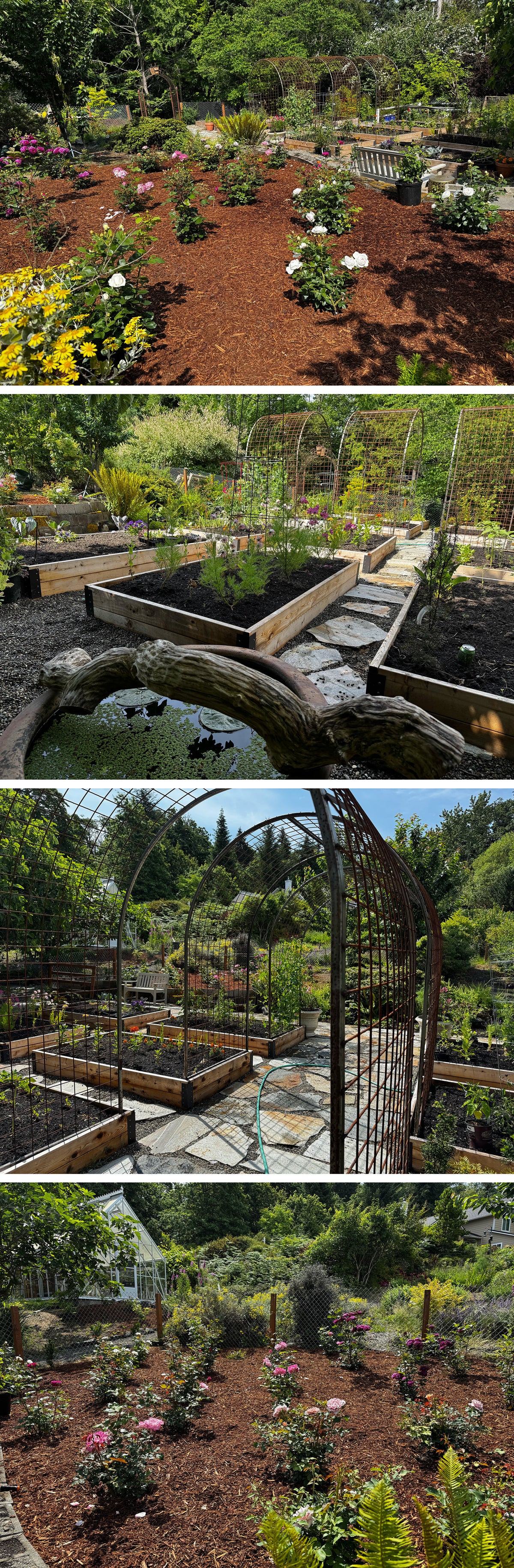 Garden Update | MLTSHP