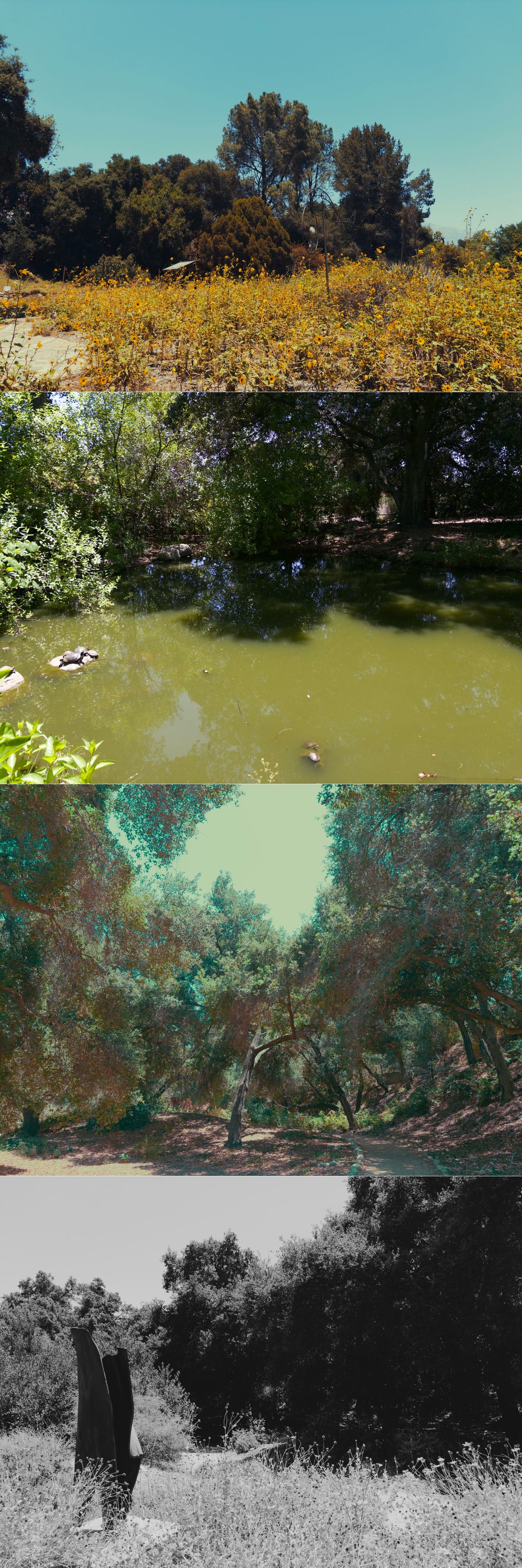 another beautiful day in the botanic garden | MLTSHP