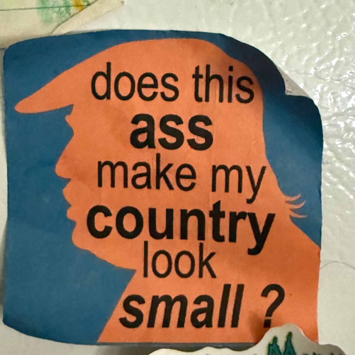 Got this at a #NoKings rally a few weeks ago | MLTSHP