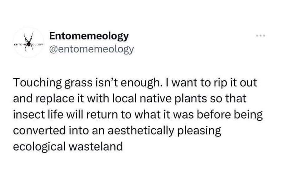 All Flesh is Grass | MLTSHP