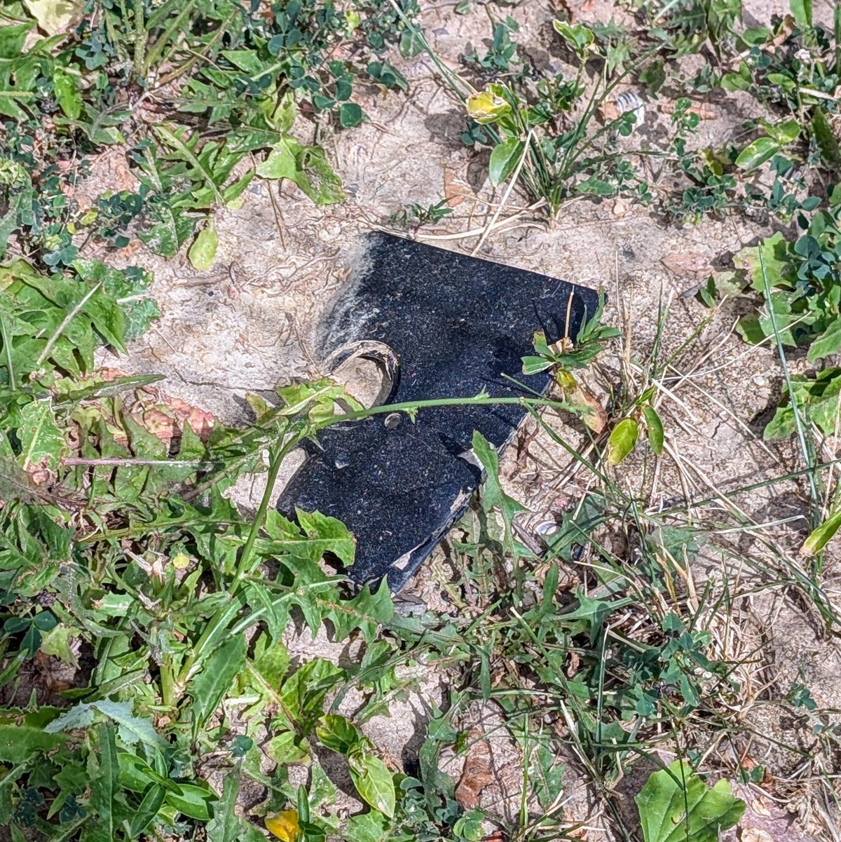 5¼" disk half-buried at Bethel Pioneer Cemetery | MLTSHP