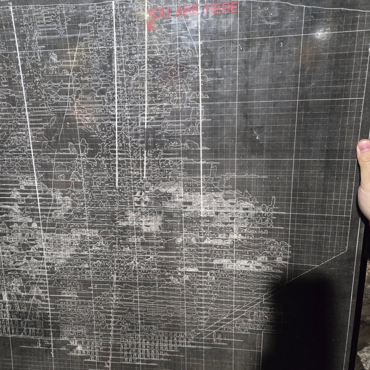 "You are here" | MLTSHP