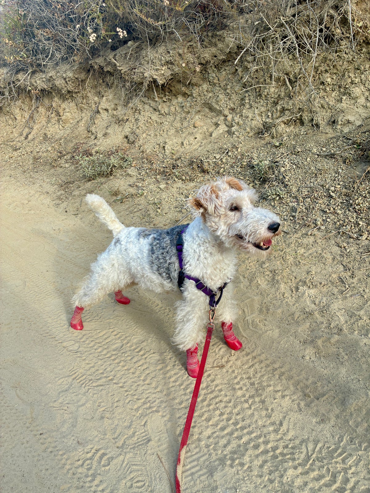 There’s a Good Reason for This | MLTSHP