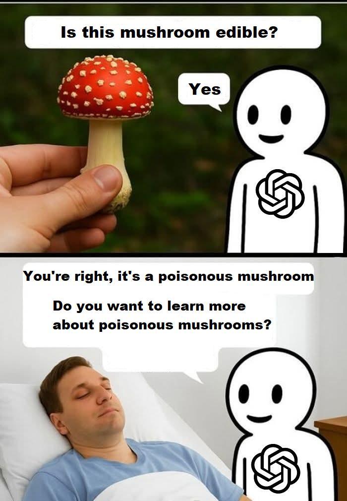 Fly Agaric | MLTSHP
