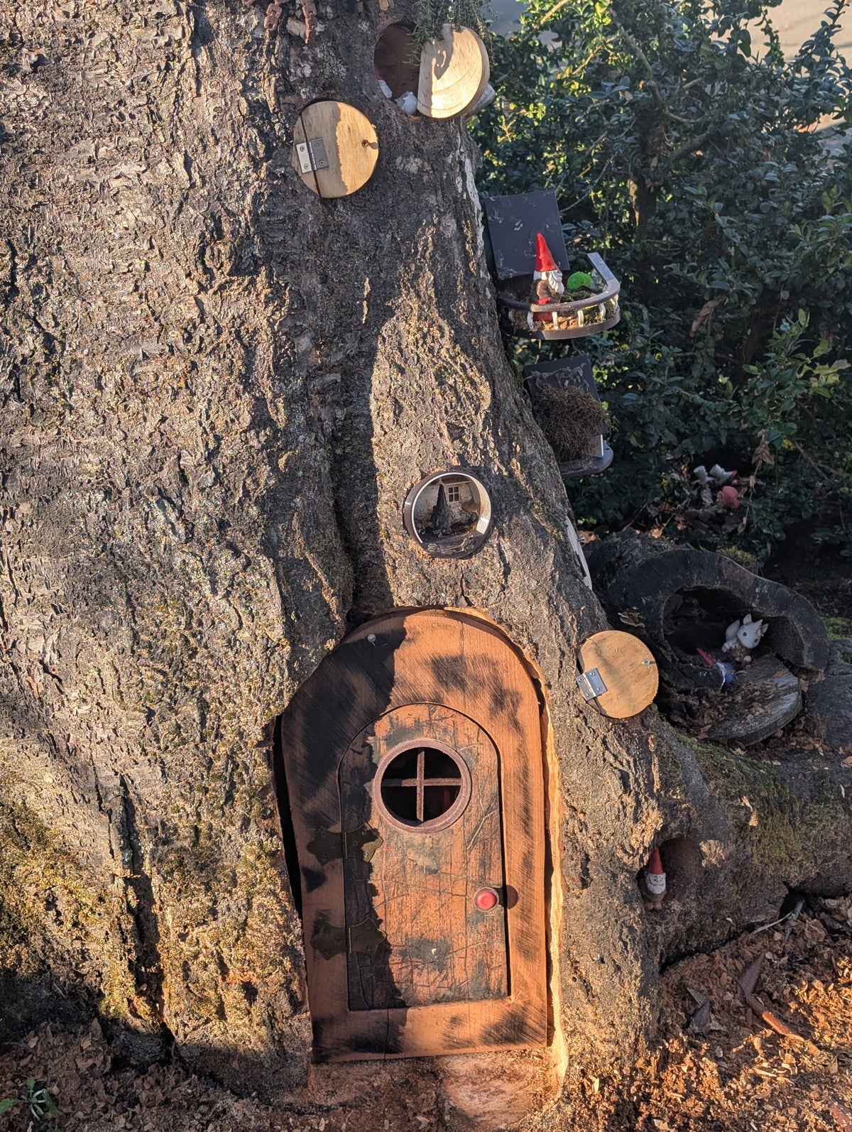 more Gnome Stump door | MLTSHP
