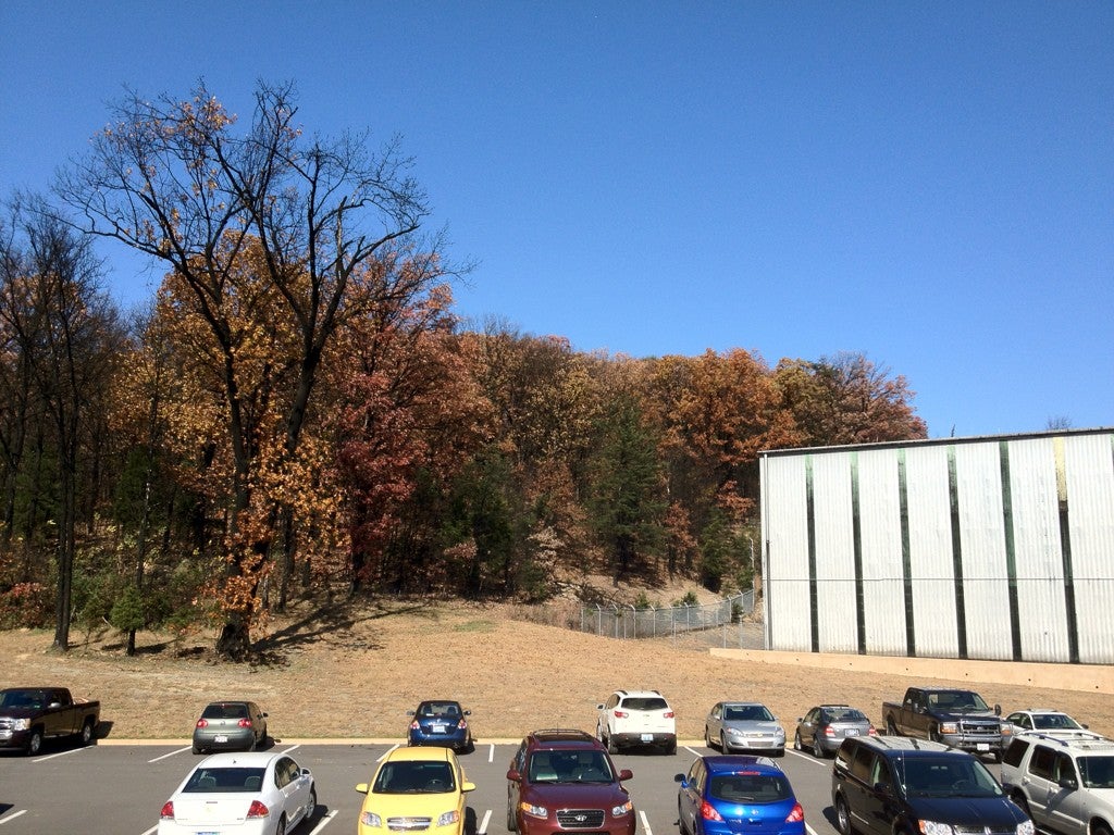 Finished up tour of Jim Beam distillery to complete KY Bourbon Trail. Black mold on trees from ...