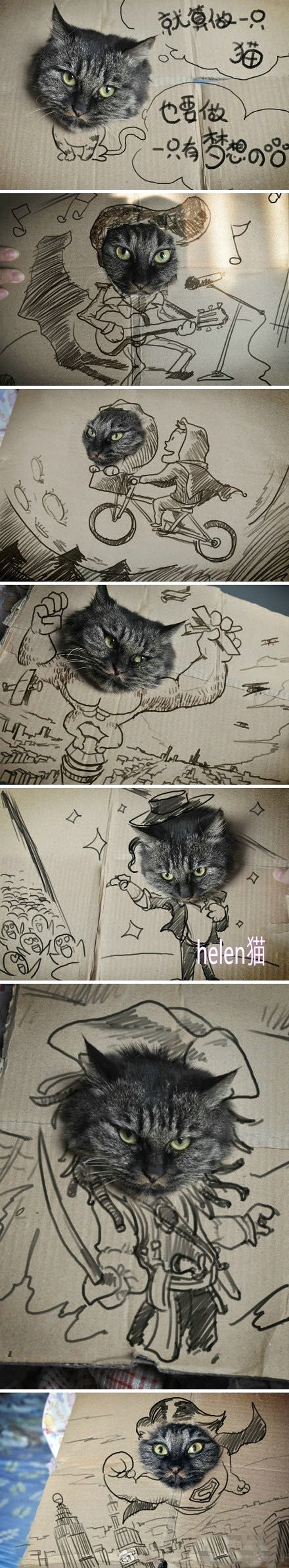 cat in the box | MLTSHP