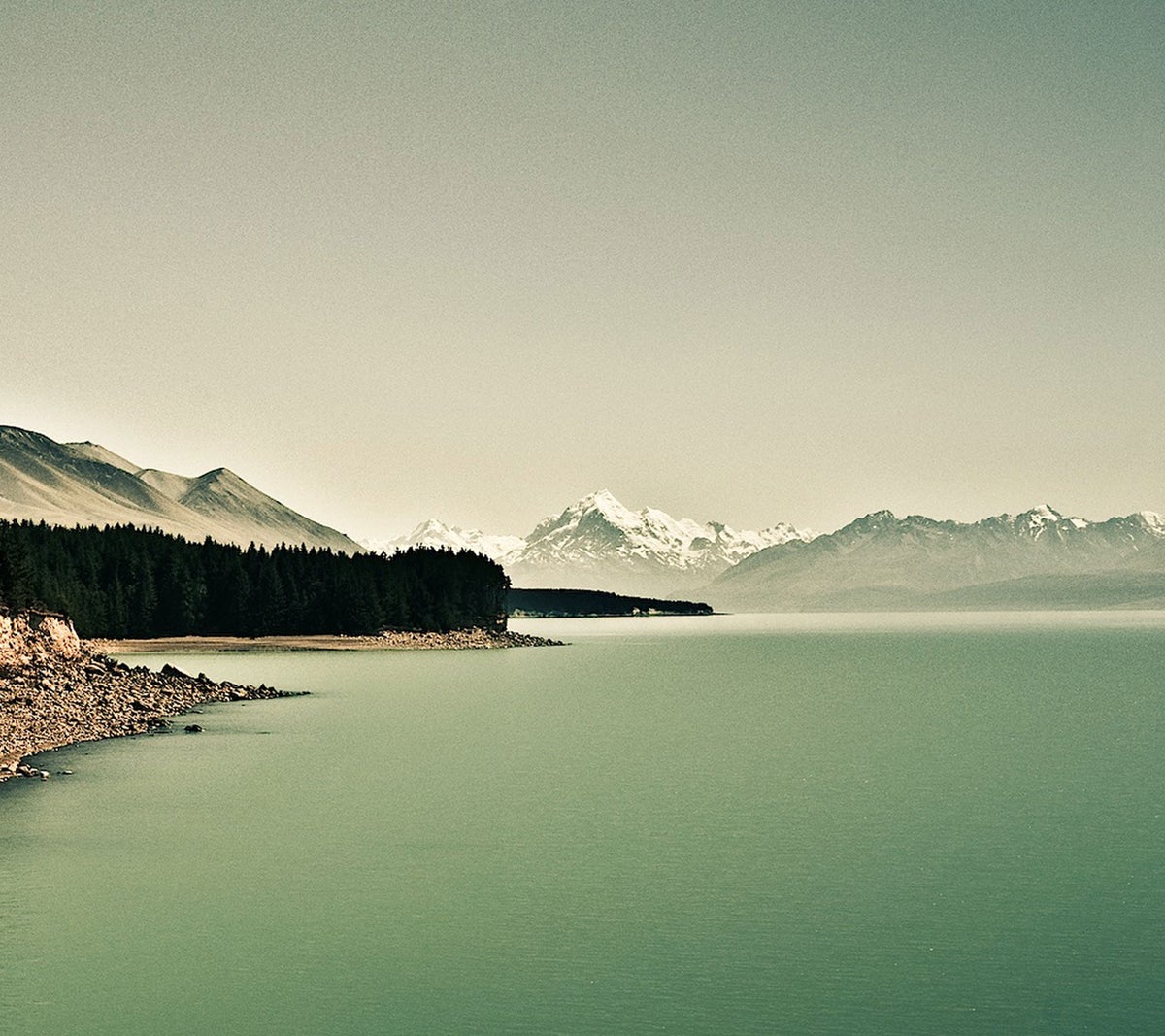 This Will Never Happen Again | MLTSHP