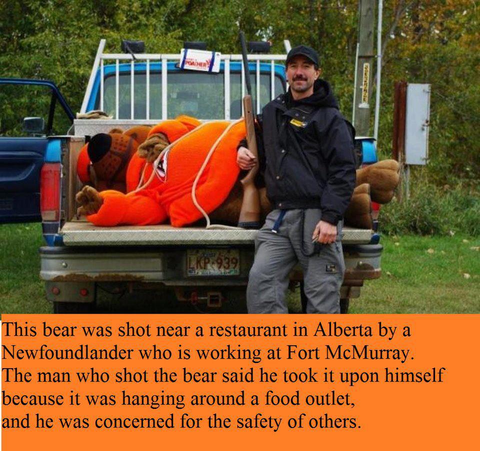 Rootbear Problem | MLTSHP