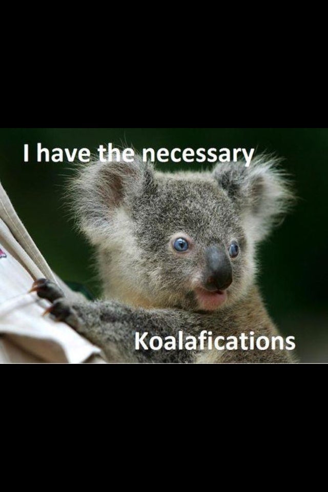 Koalafied | MLTSHP