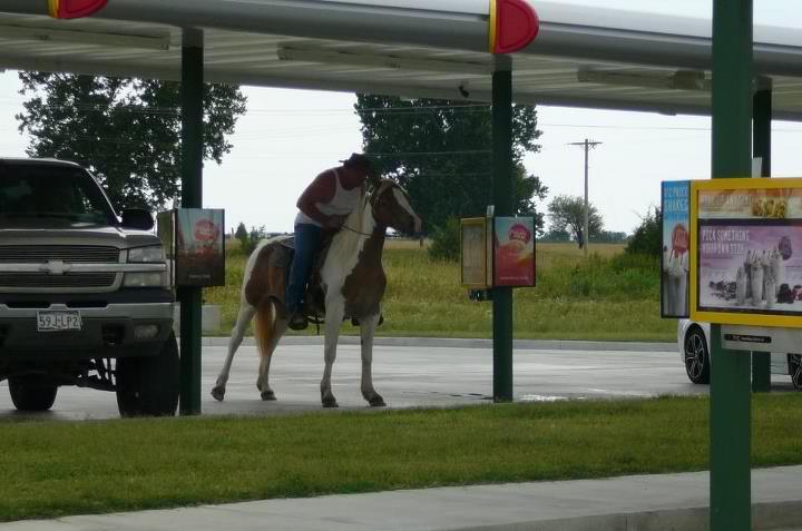 Set Fire To The Rain | MLTSHP