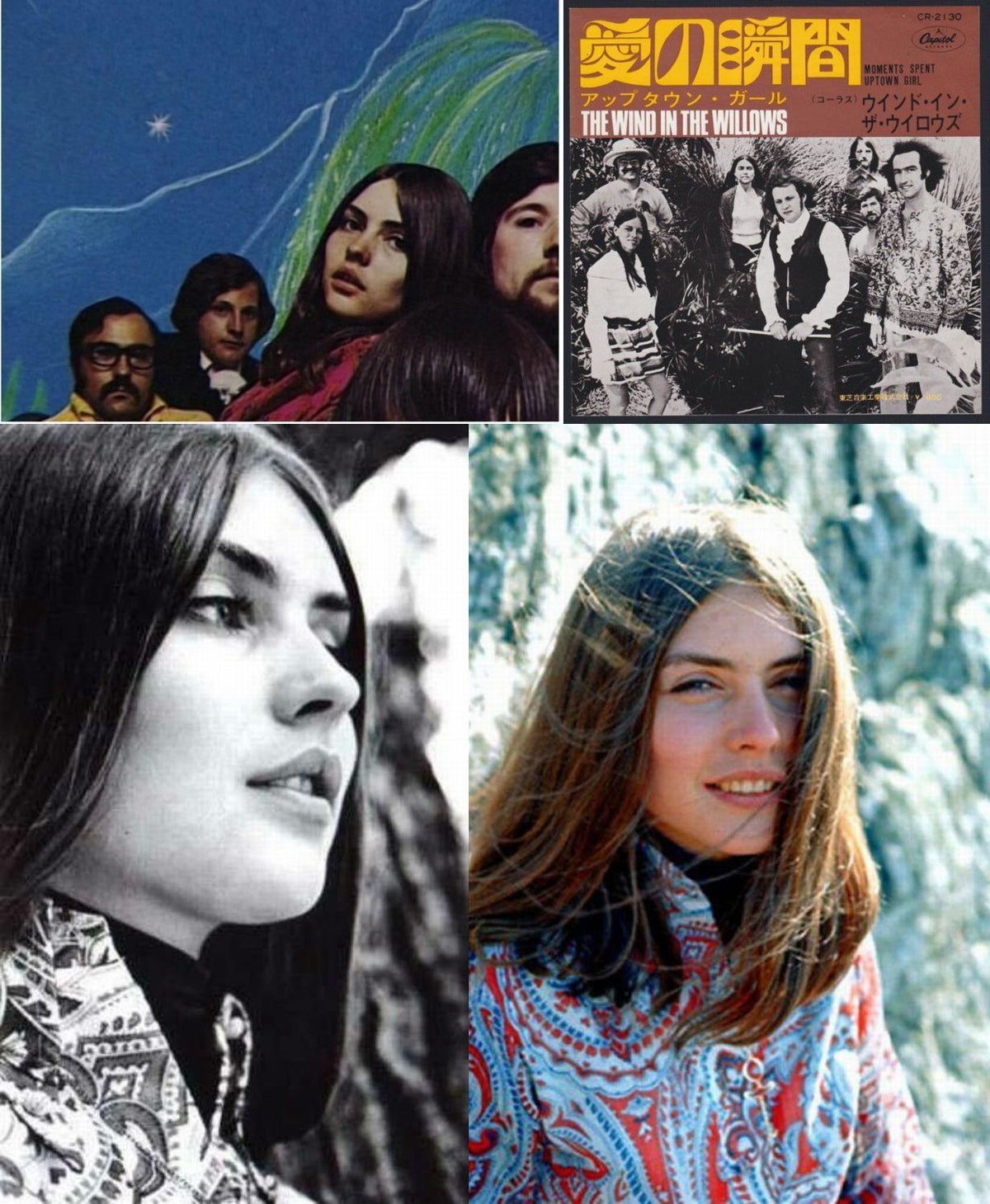 Debbie Harry's band The Wind in the Willows, 1968 | MLTSHP