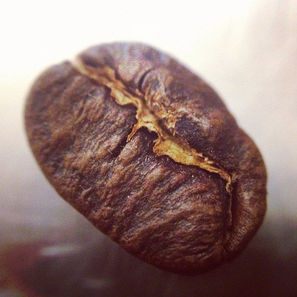 Tonx article coffee porn someone put it in the coffee shk plz thx | MLTSHP