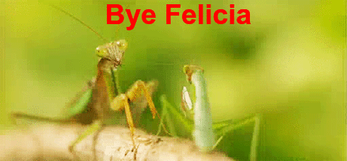 bye felicia | MLTSHP